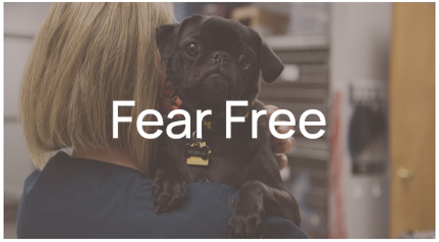 Animal Hospital & Veterinarian Ann Arbor, MI | Compassionate Care